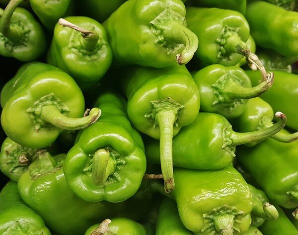 Anaheim Peppers and How to Grow - Growing Chillies